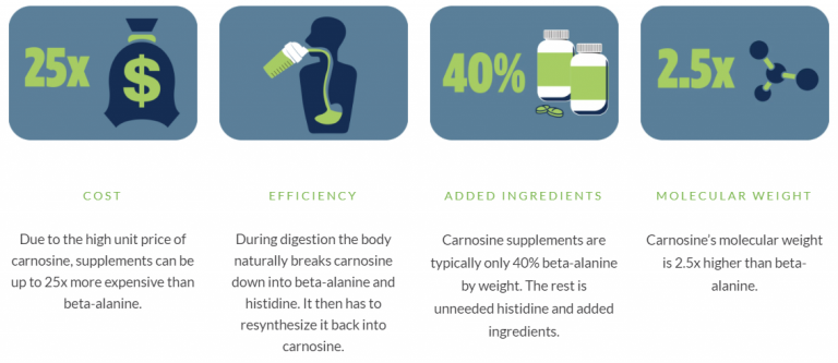 Carnosine | Your Complete Guide to Carnosine | CarnoSyn