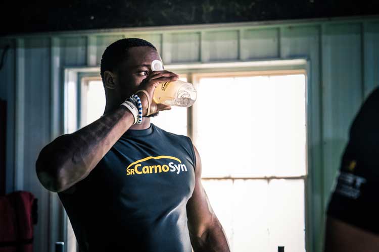 Carnosine | Your Complete Guide to Carnosine | CarnoSyn