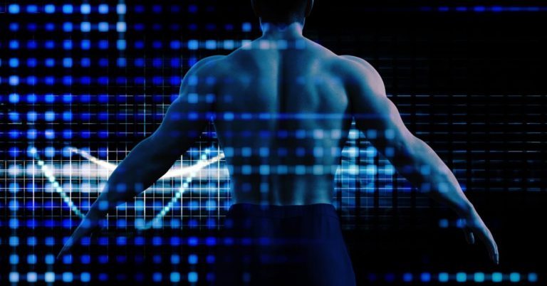 How CarnoSyn® Works in the Body | CarnoSyn® Beta Alanine